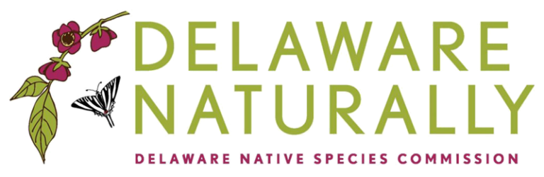Habitats and Ecosystems | Delaware Naturally part of Delaware Native ...